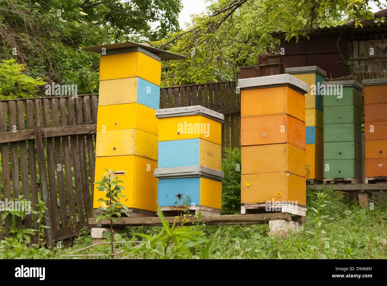 Bee apiary gray beehive hi-res stock photography and images - Alamy