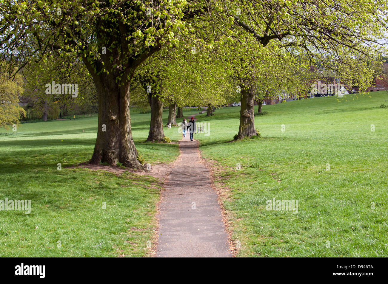 Abbey Fields in spring, Kenilworth, Warwickshire, UK Stock Photo - Alamy