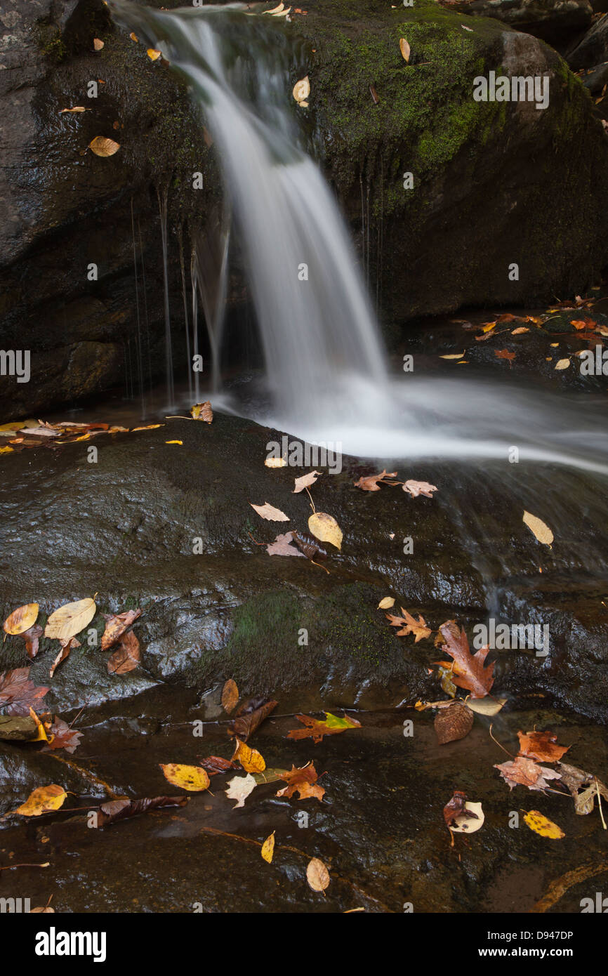 Scenic view of waterfall Stock Photo - Alamy