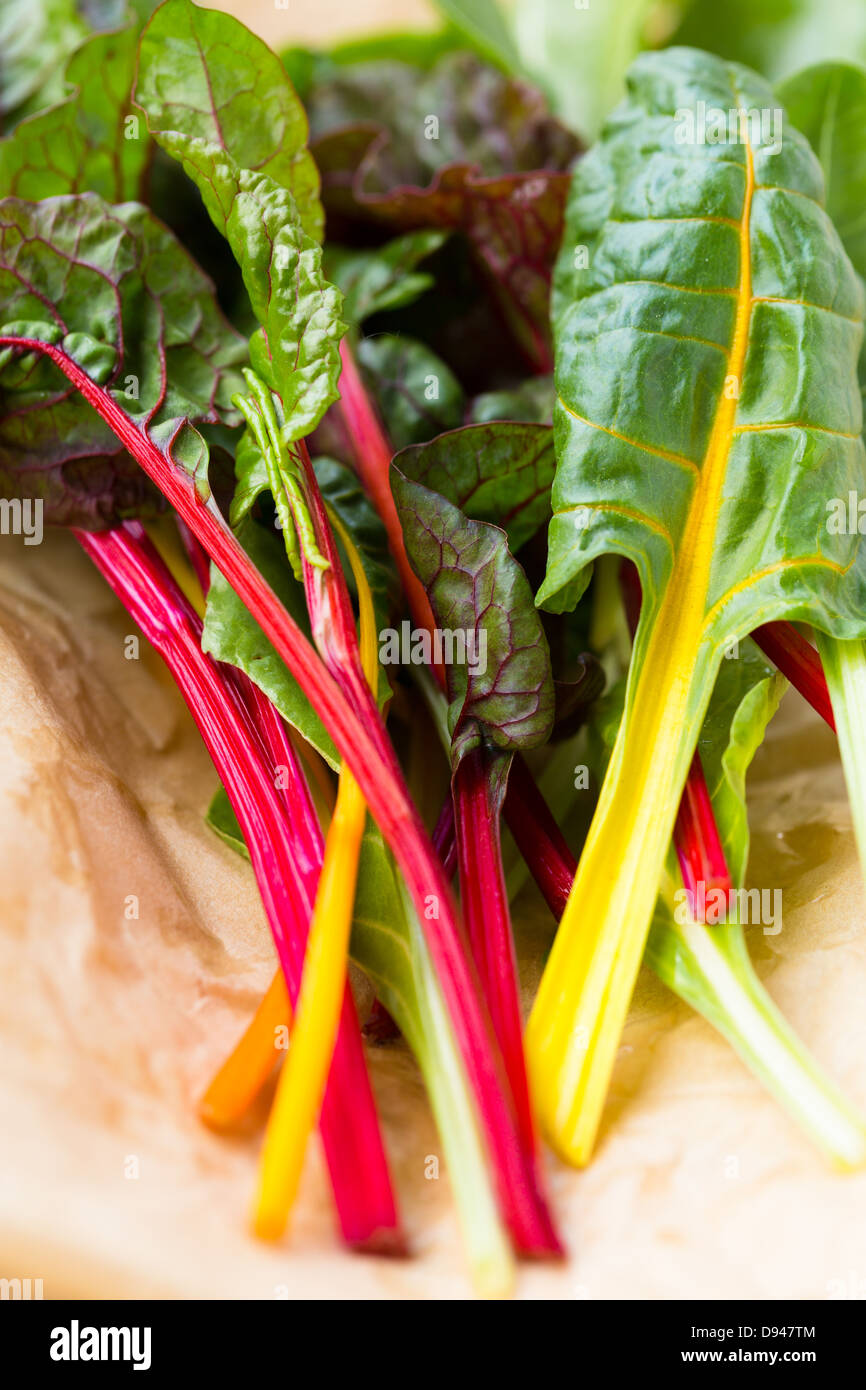 Chard leaf hi-res stock photography and images - Alamy