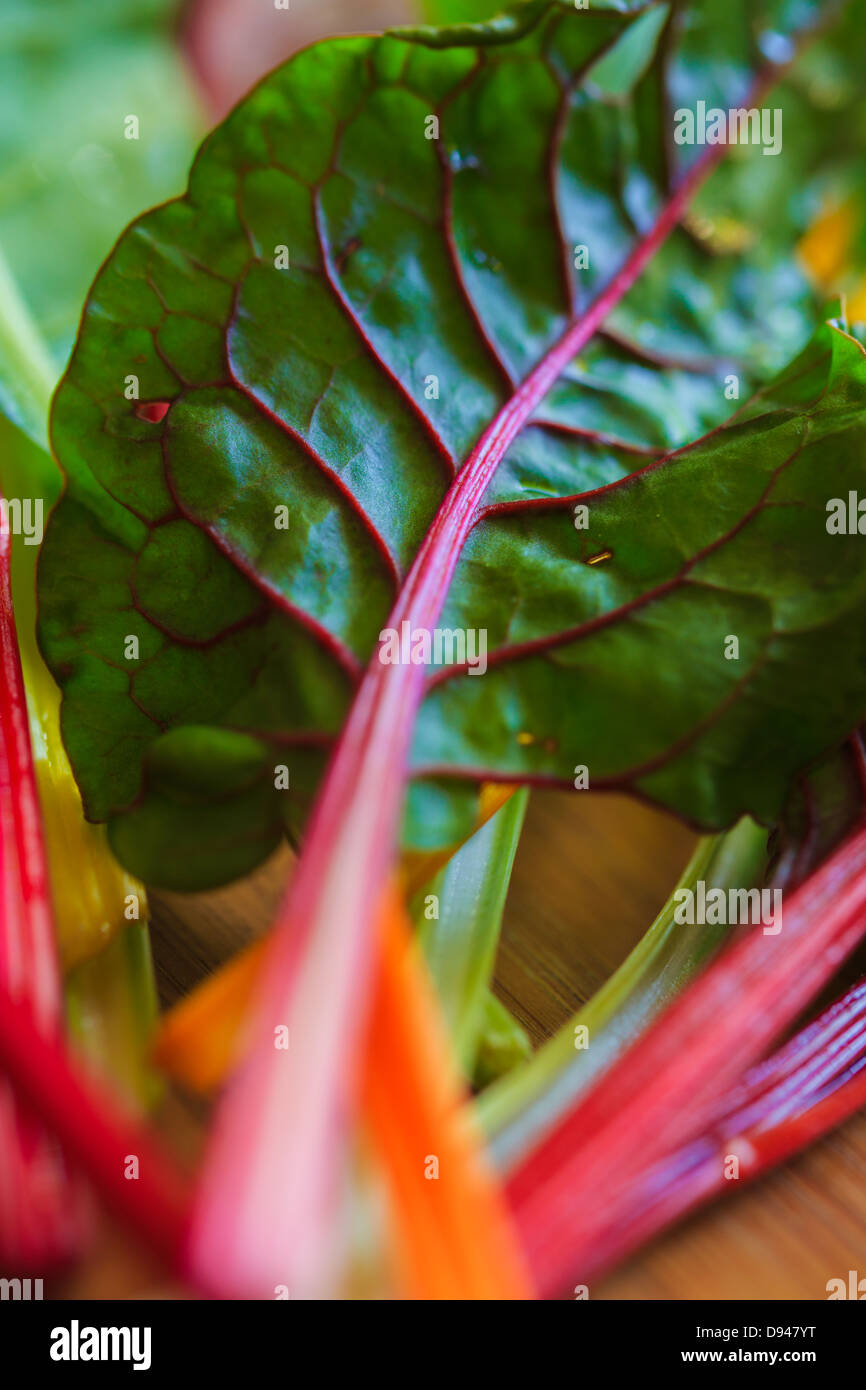 Rainbow vegetable isolated hi-res stock photography and images - Alamy