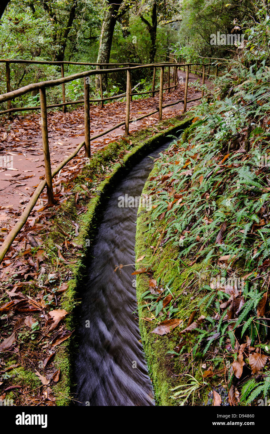 Small canal near pathway Stock Photo - Alamy