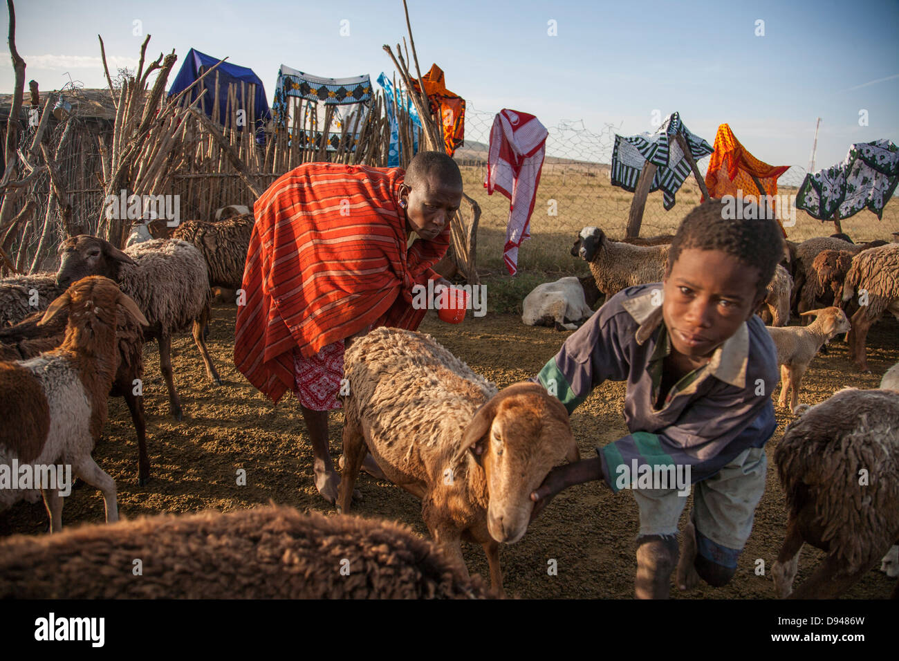 Maasai Family High Resolution Stock Photography and Images - Alamy