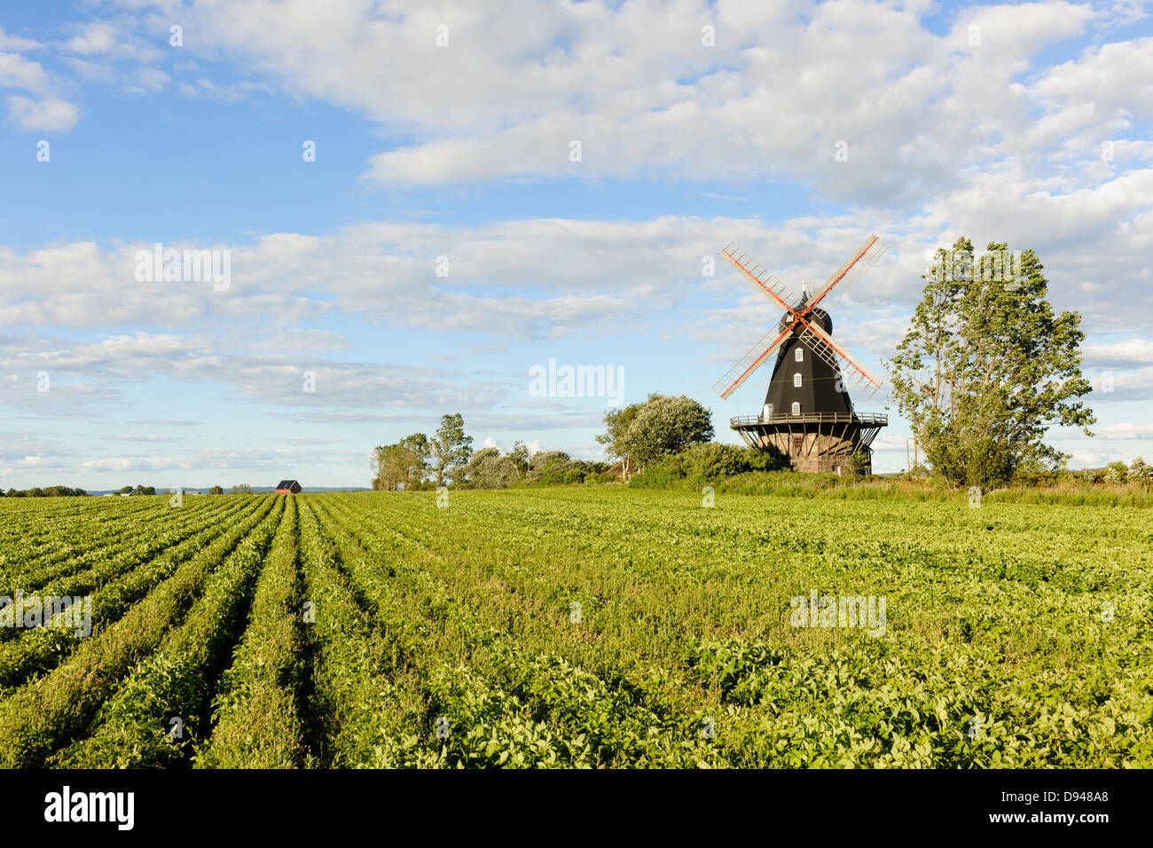 Field with windmill in background Stock Photo - Alamy
