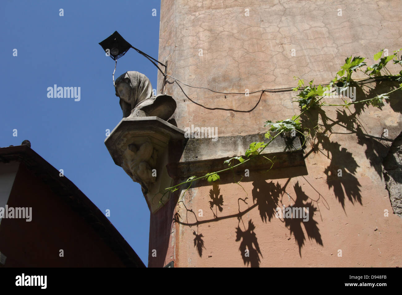 vine tree growing in trastevere district rome italy Stock Photo - Alamy