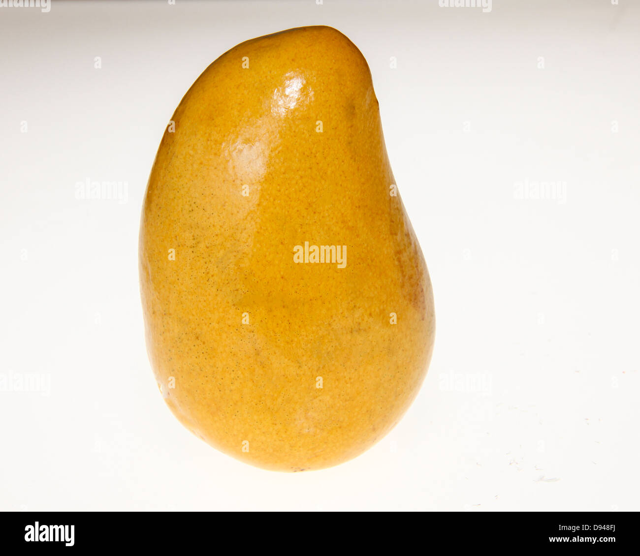 Mango yellow Yellow Mangoes ripe fruit citrus tropical Stock Photo - Alamy