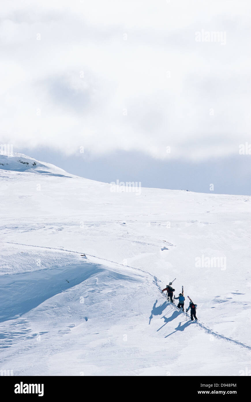 Three skiers, Lapland, Sweden Stock Photo - Alamy