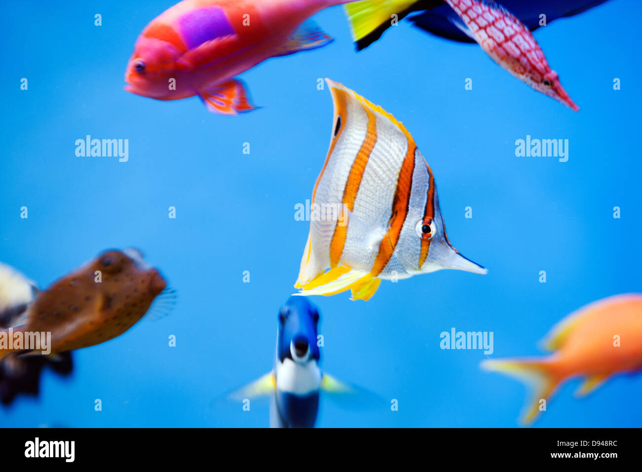 Colored view hi-res stock photography and images - Alamy