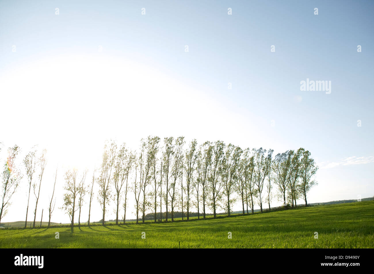 Sky osterlen hi-res stock photography and images - Alamy
