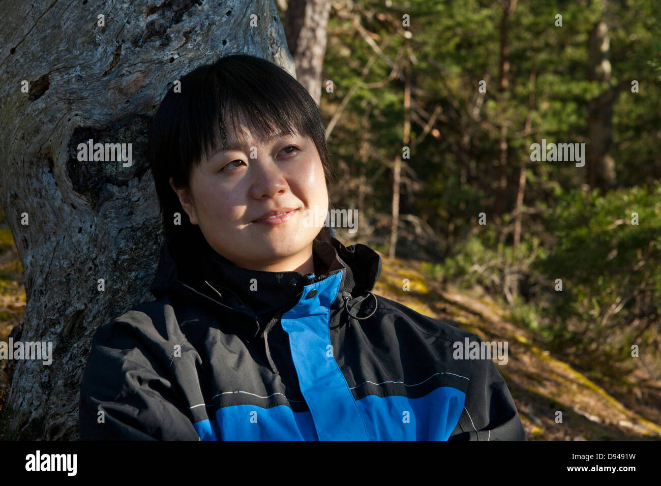 Tourist tree tree hi-res stock photography and images - Alamy