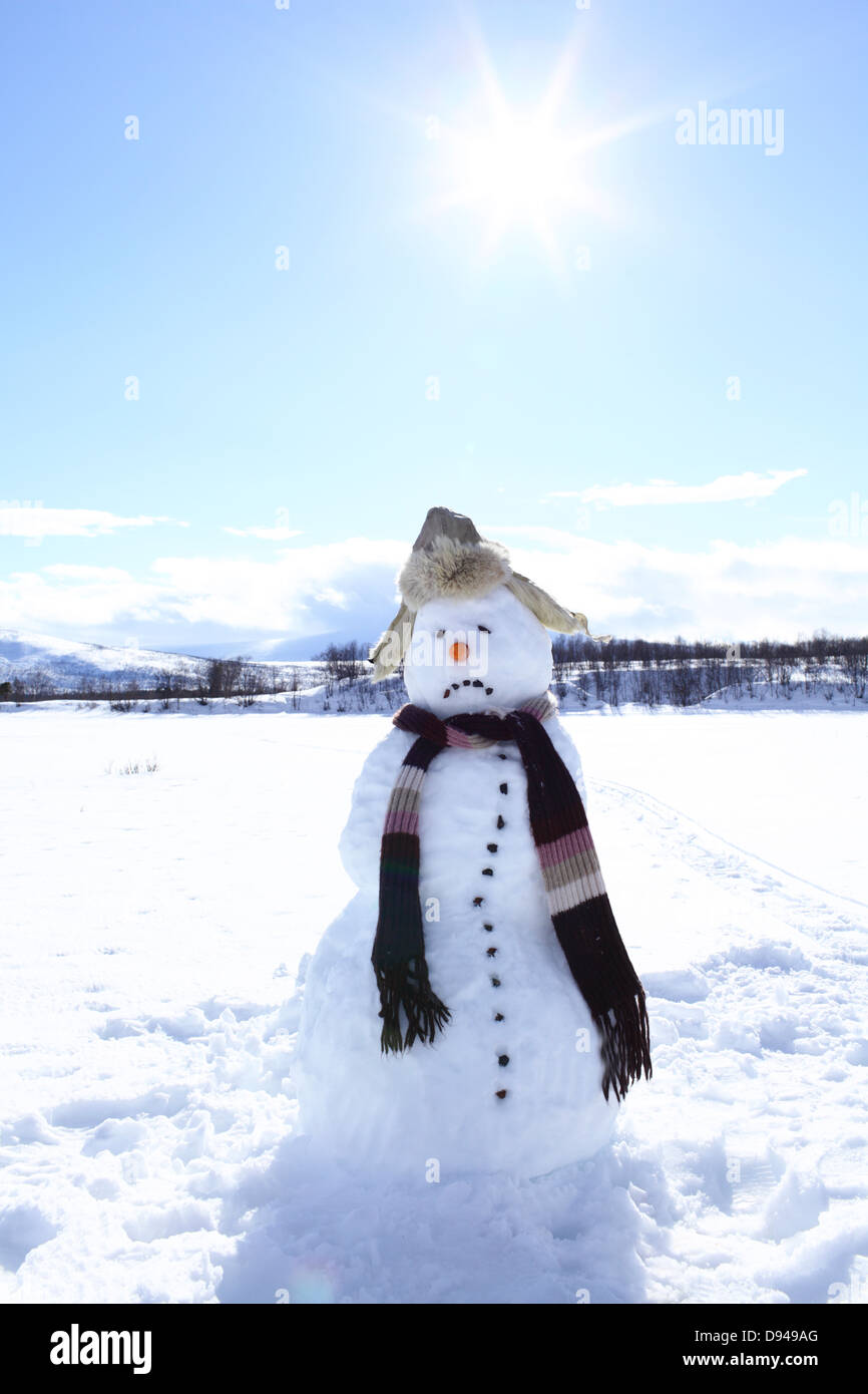Sad snowman on field Stock Photo - Alamy