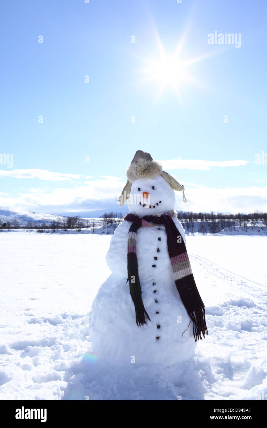 Happy snowman on field Stock Photo - Alamy