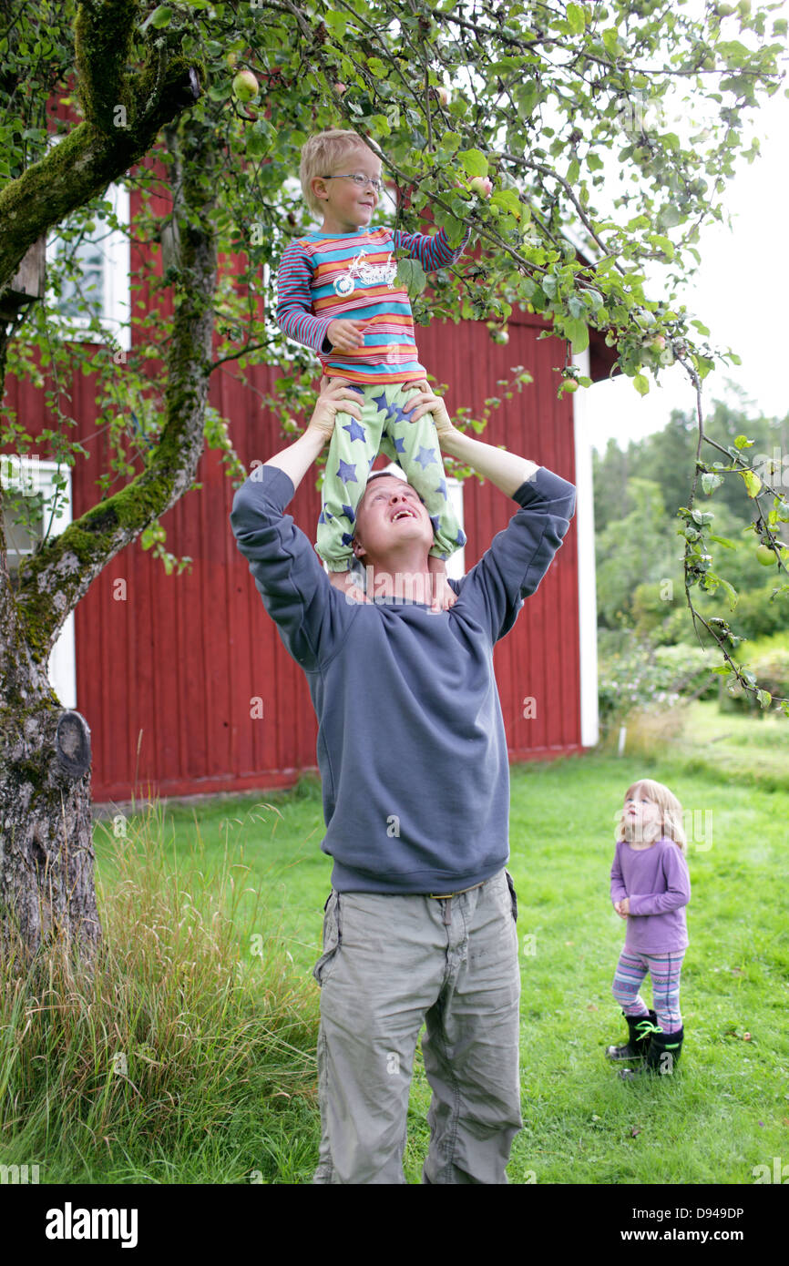 Father carrying son picking apples Stock Photo - Alamy