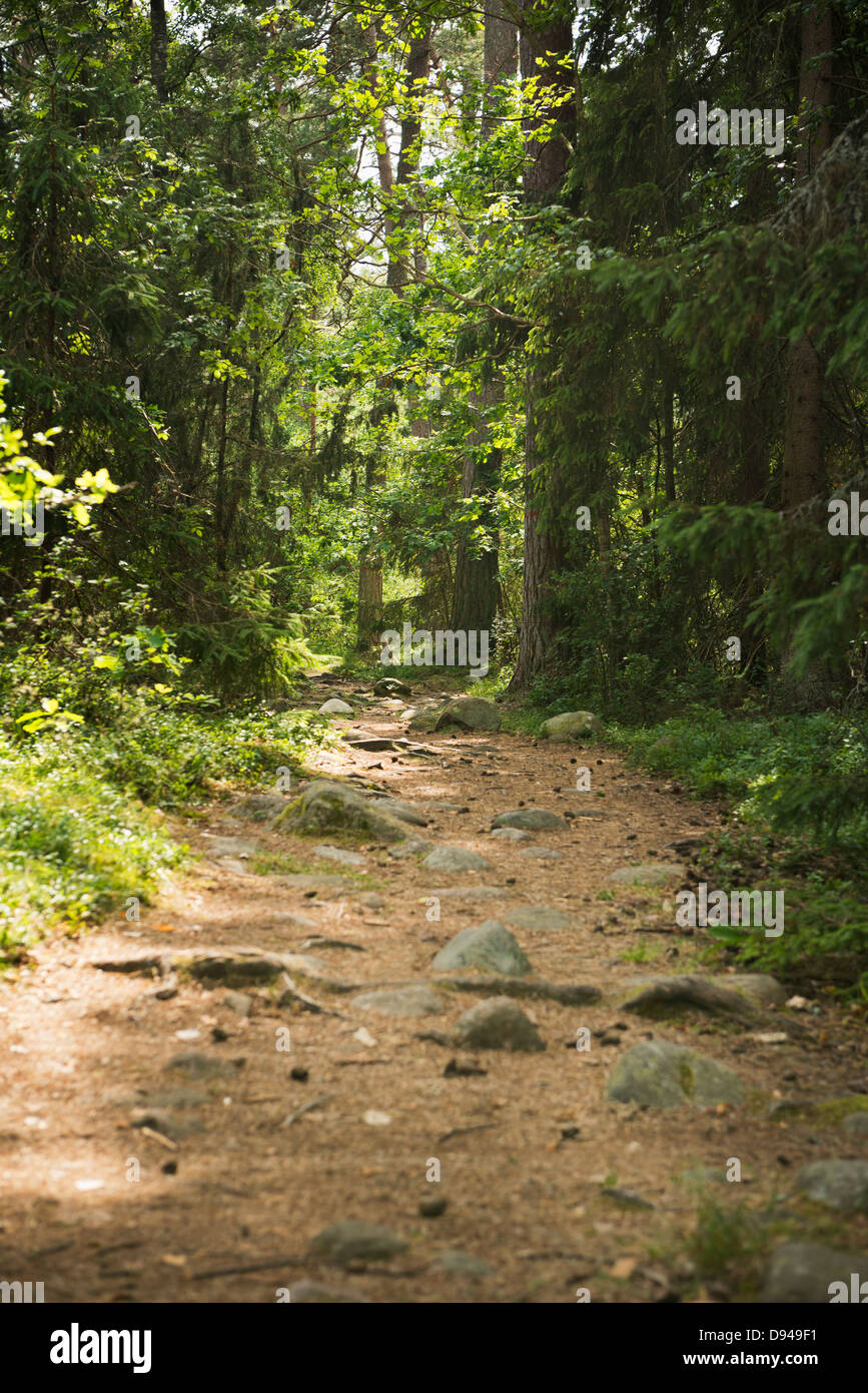 Path going through forest Stock Photo - Alamy