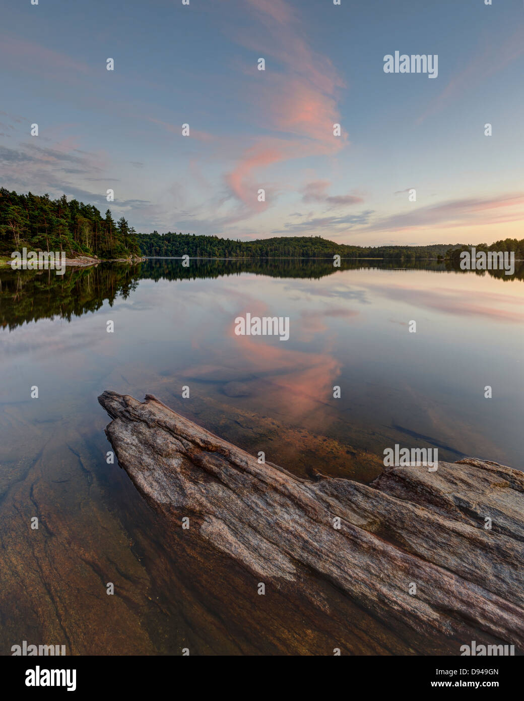 Forest reflecting in calm water Stock Photo - Alamy