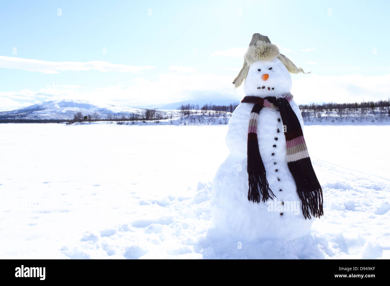Snowman on field Stock Photo - Alamy