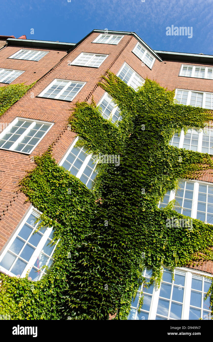 Overgrown plants building hi-res stock photography and images - Alamy