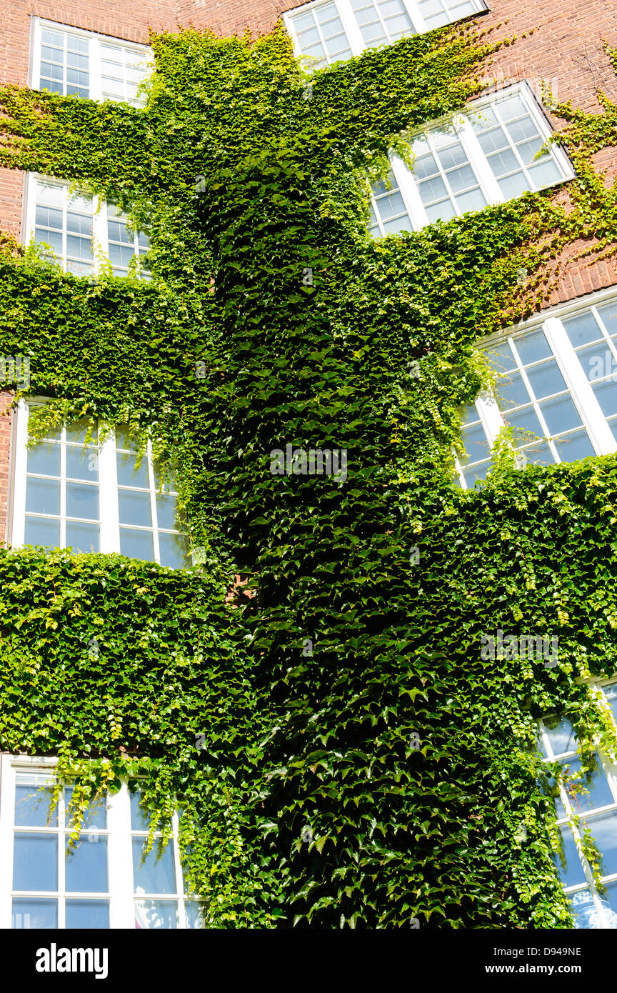 Overgrown plants building hi-res stock photography and images - Alamy