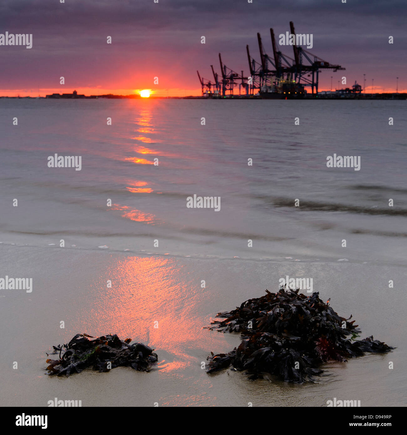 Sea weed on beach at sunset, loading platform in background Stock Photo ...