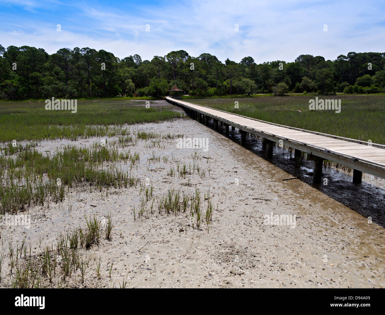 Marsh hammock hi-res stock photography and images - Alamy