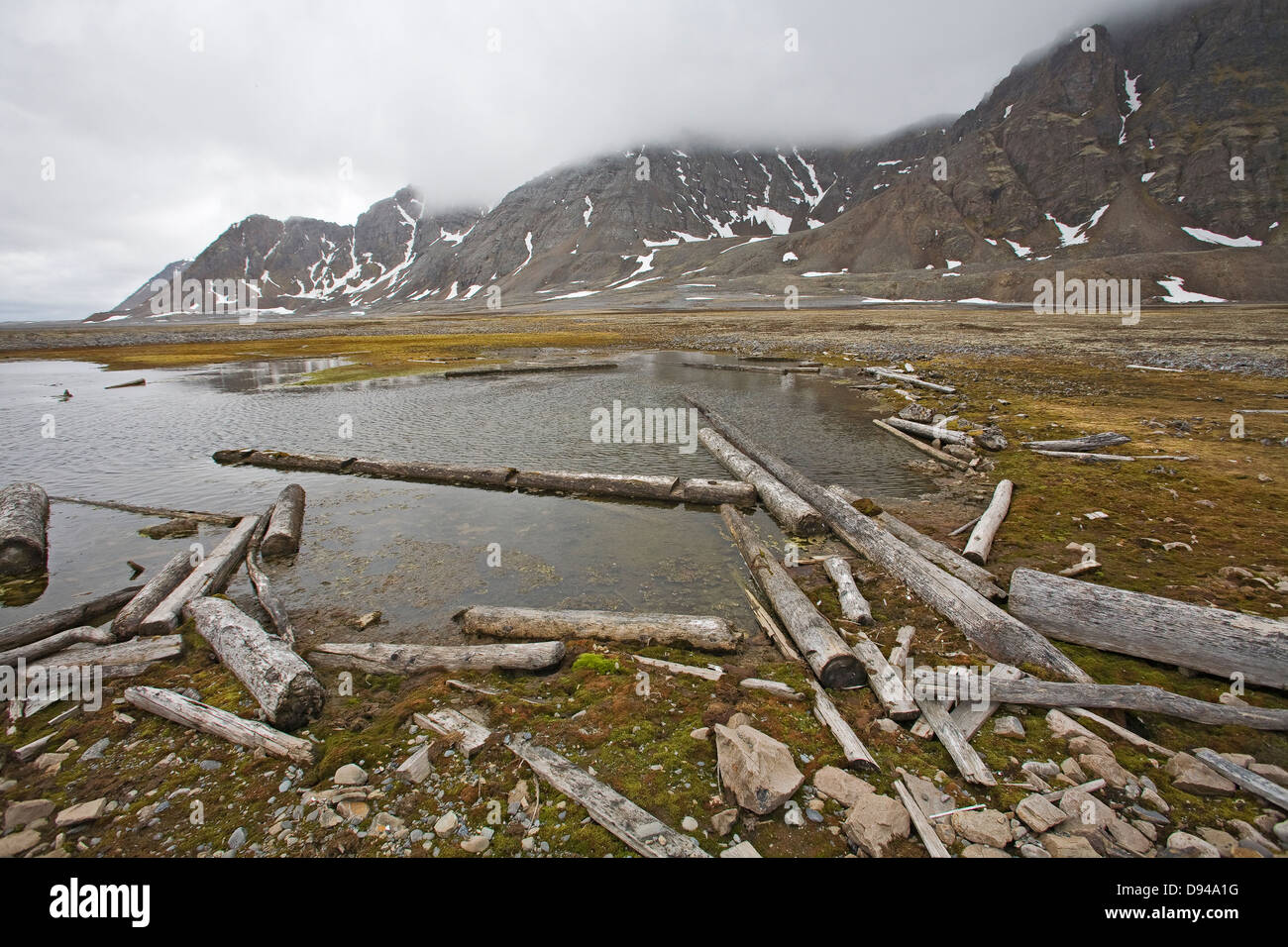 Timber in the water, Svalbard, Norway Stock Photo - Alamy