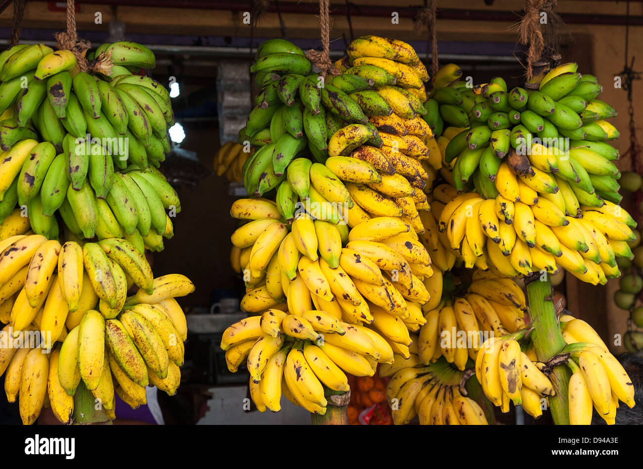 Bundles of bananas Stock Photo - Alamy