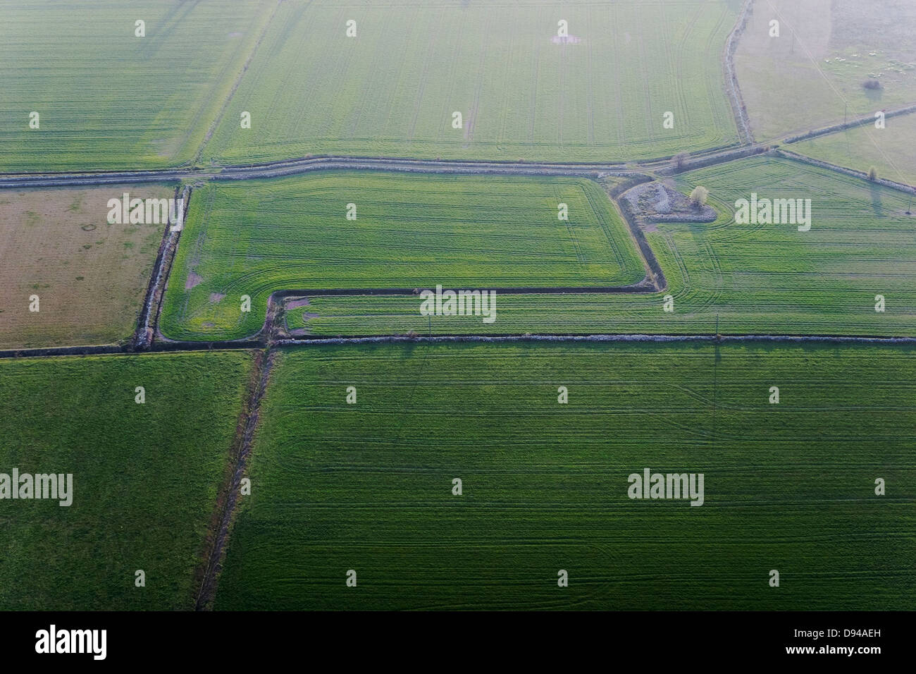 Arable and pasture land, aerial view, Oland, Sweden Stock Photo - Alamy