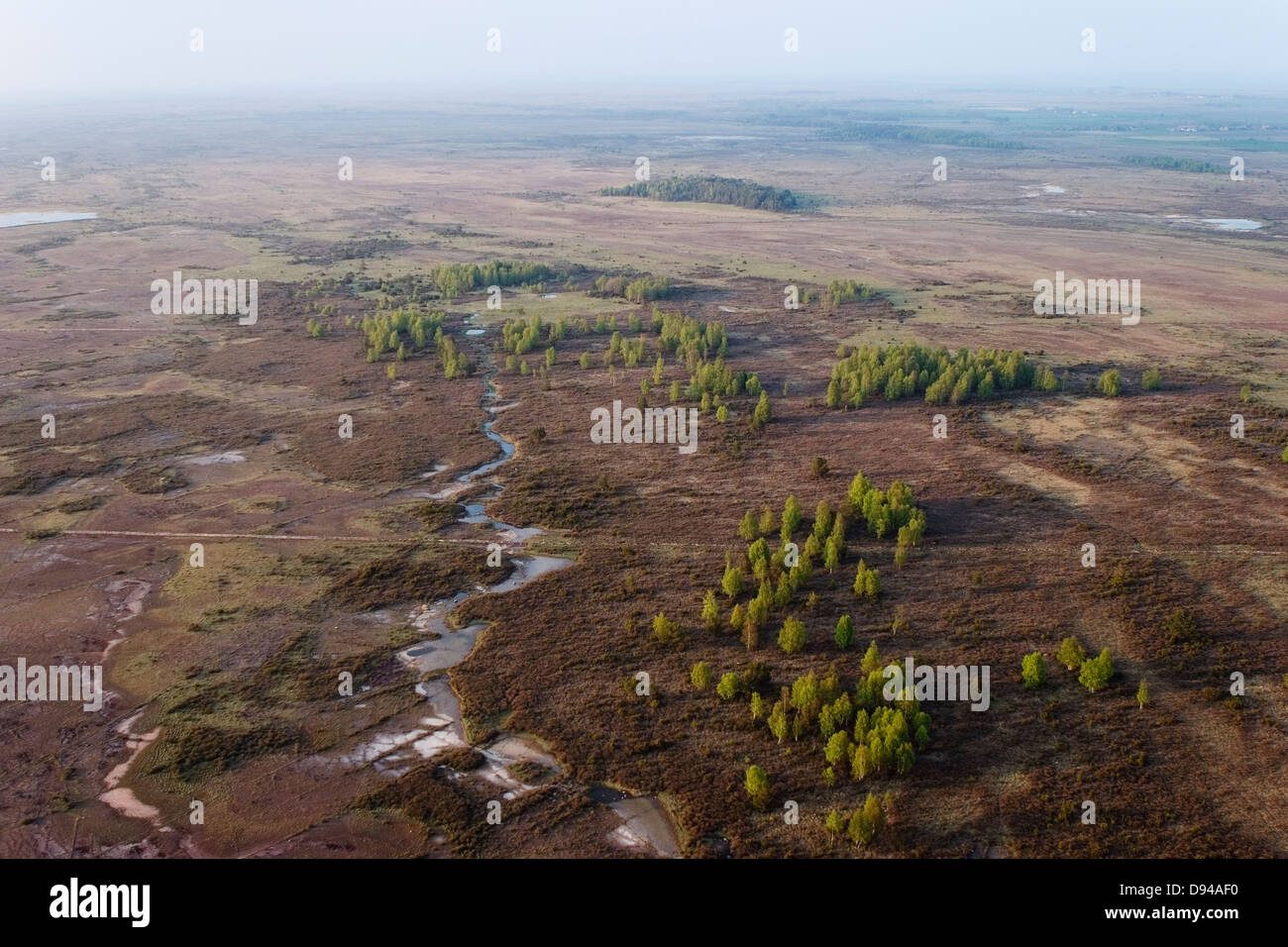 Aerial view of Alvaret, a limestone barren plain, Oland, Sweden Stock ...