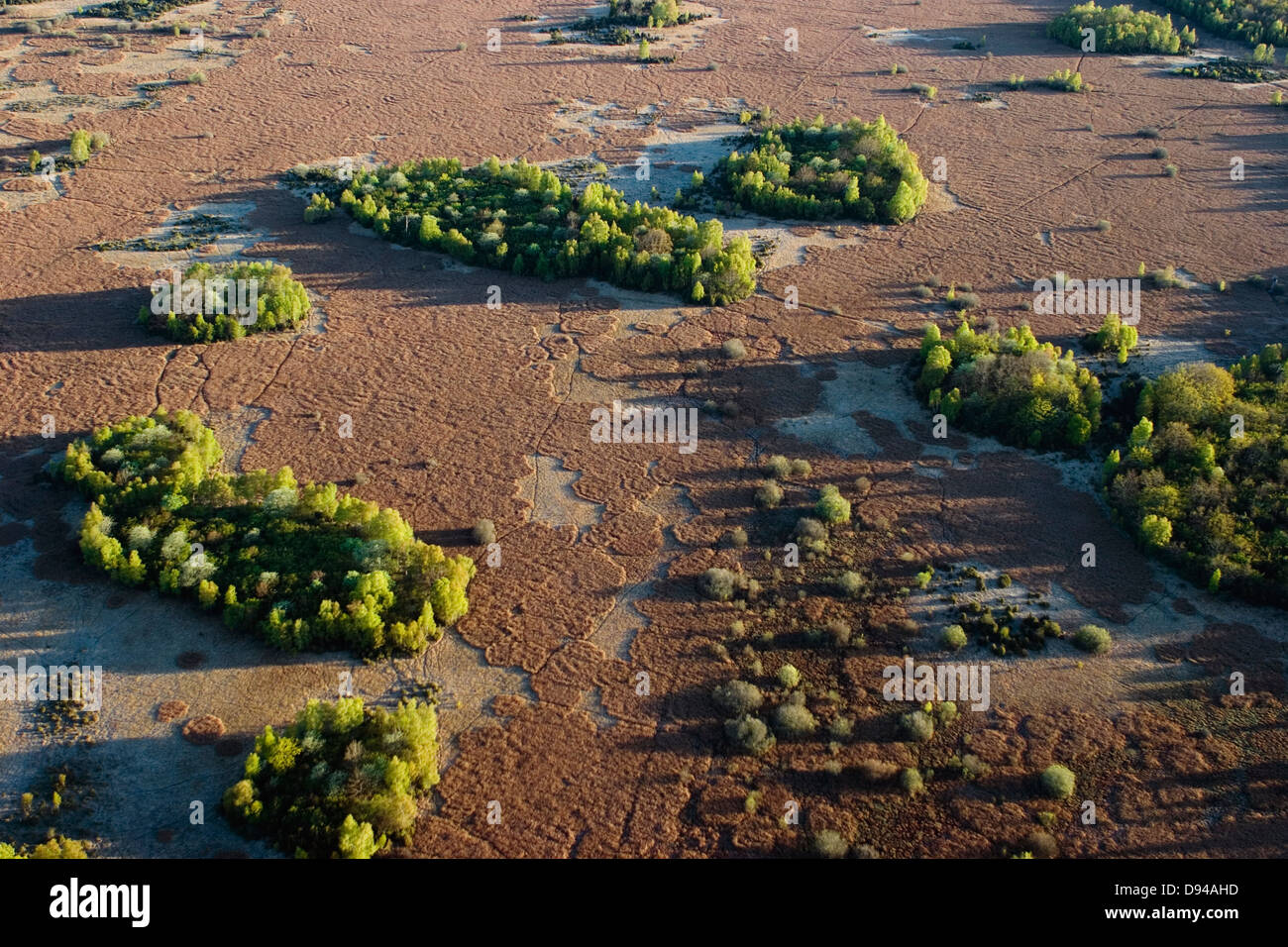 A bog, aerial view, Oland, Sweden Stock Photo - Alamy