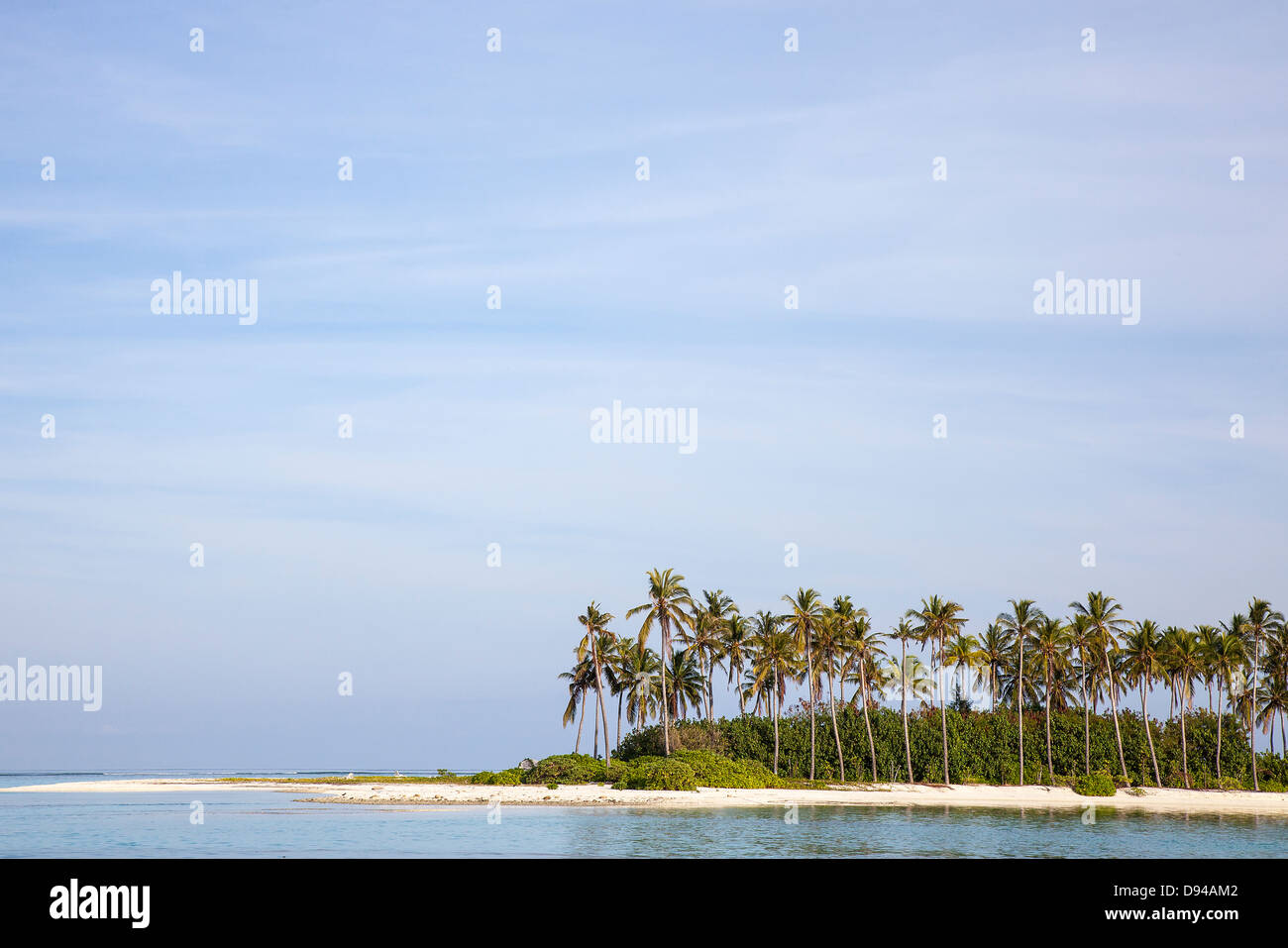 Island with palm trees hi-res stock photography and images - Alamy