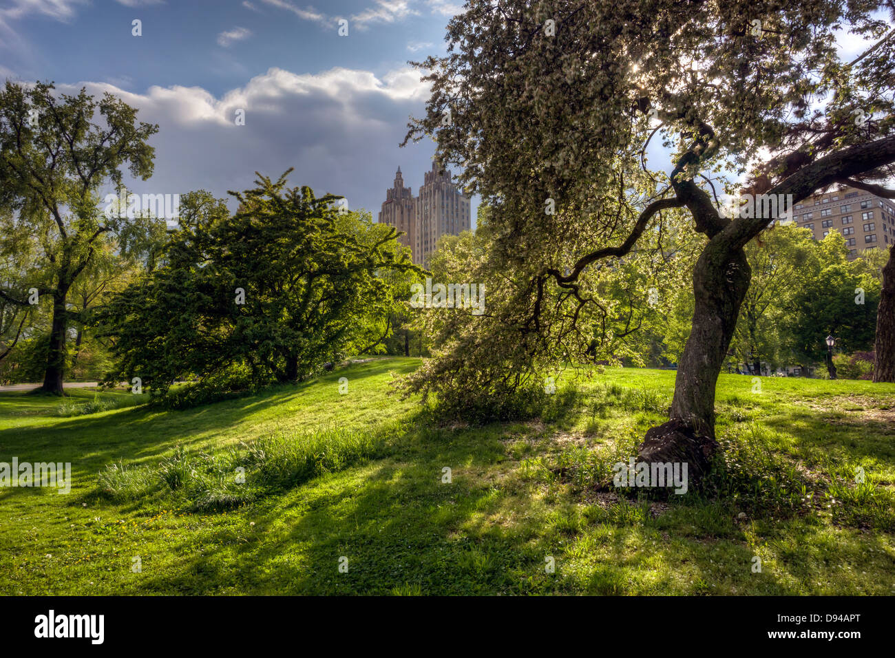 Spring in Central Park, New York City Stock Photo - Alamy