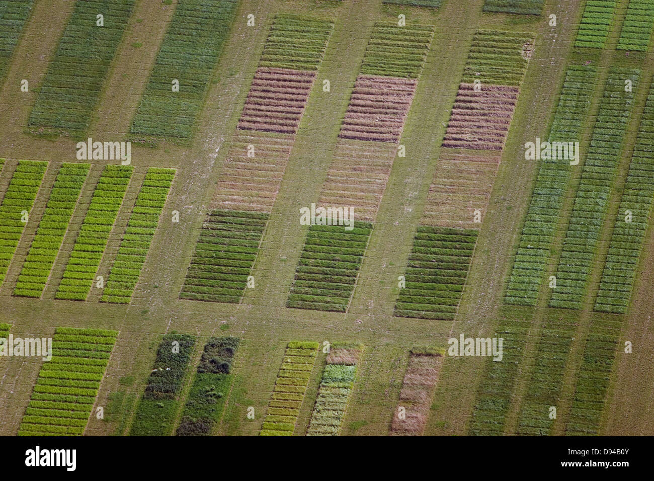 Center of view hi-res stock photography and images - Alamy