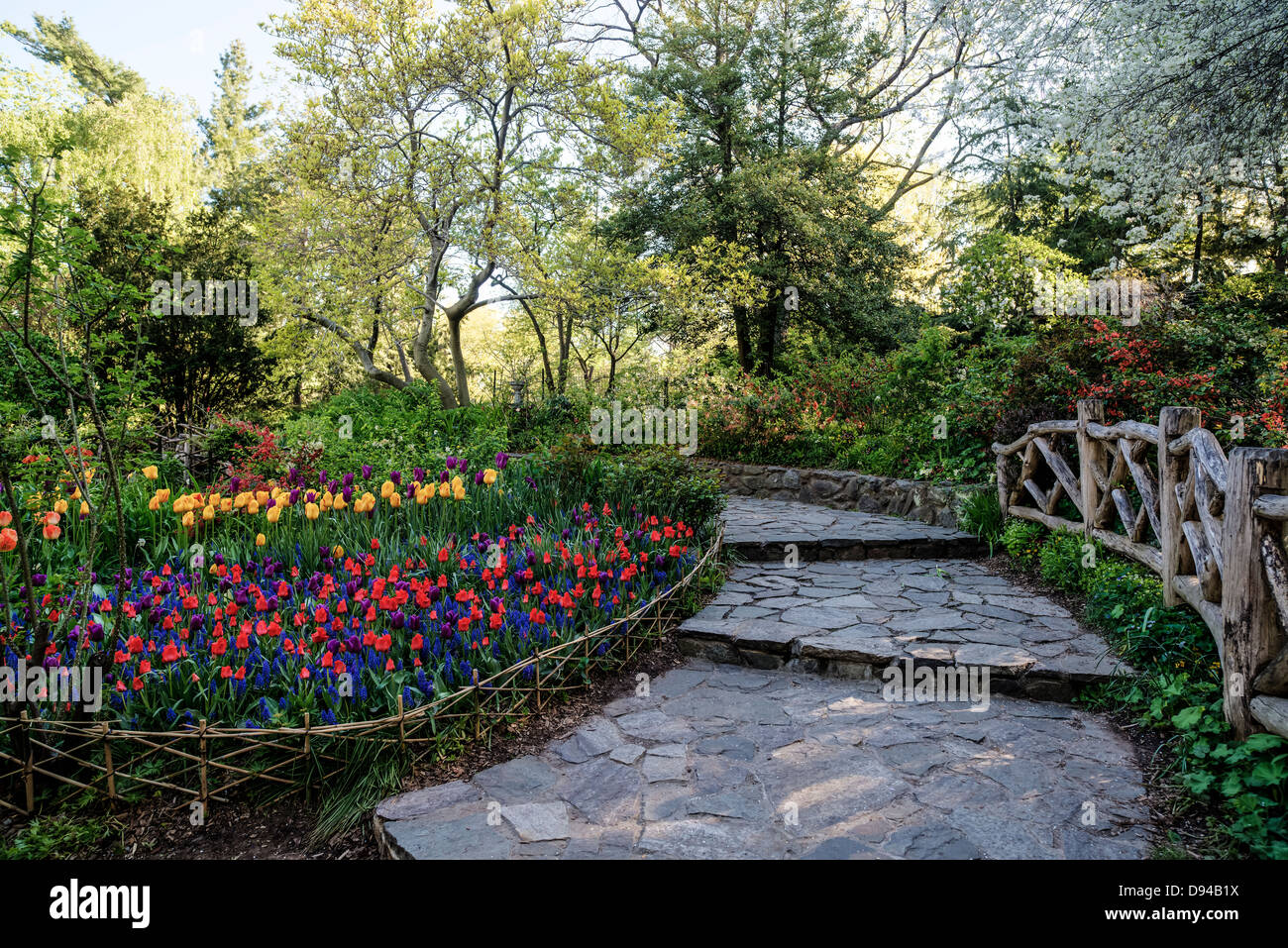 Central Park, New York City Shakespeare Garden in spring Stock Photo ...