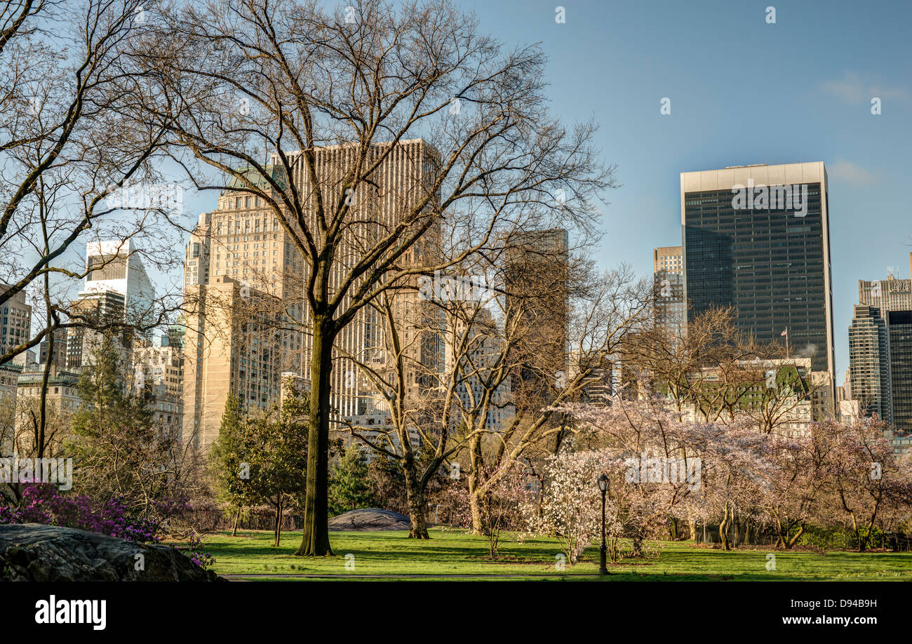 Spring in Central Park, New York City Stock Photo - Alamy