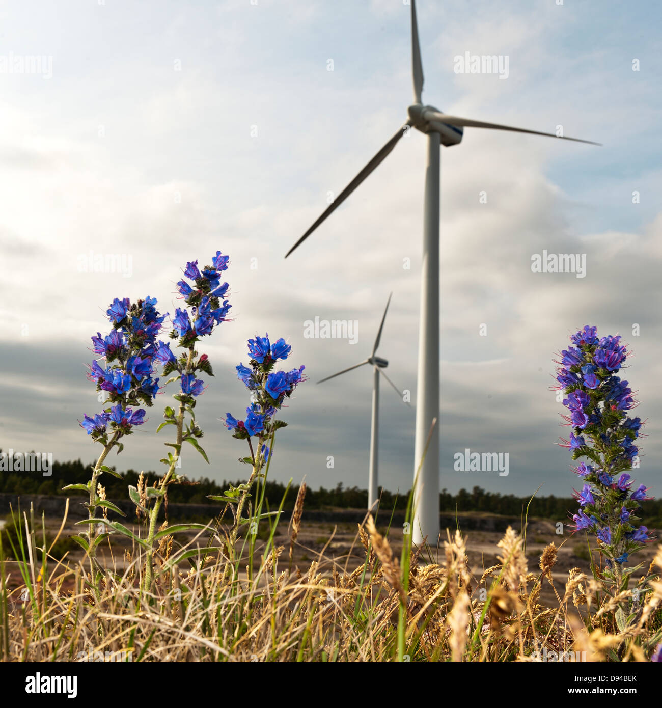 Wind turbine with wildflowers Stock Photo - Alamy
