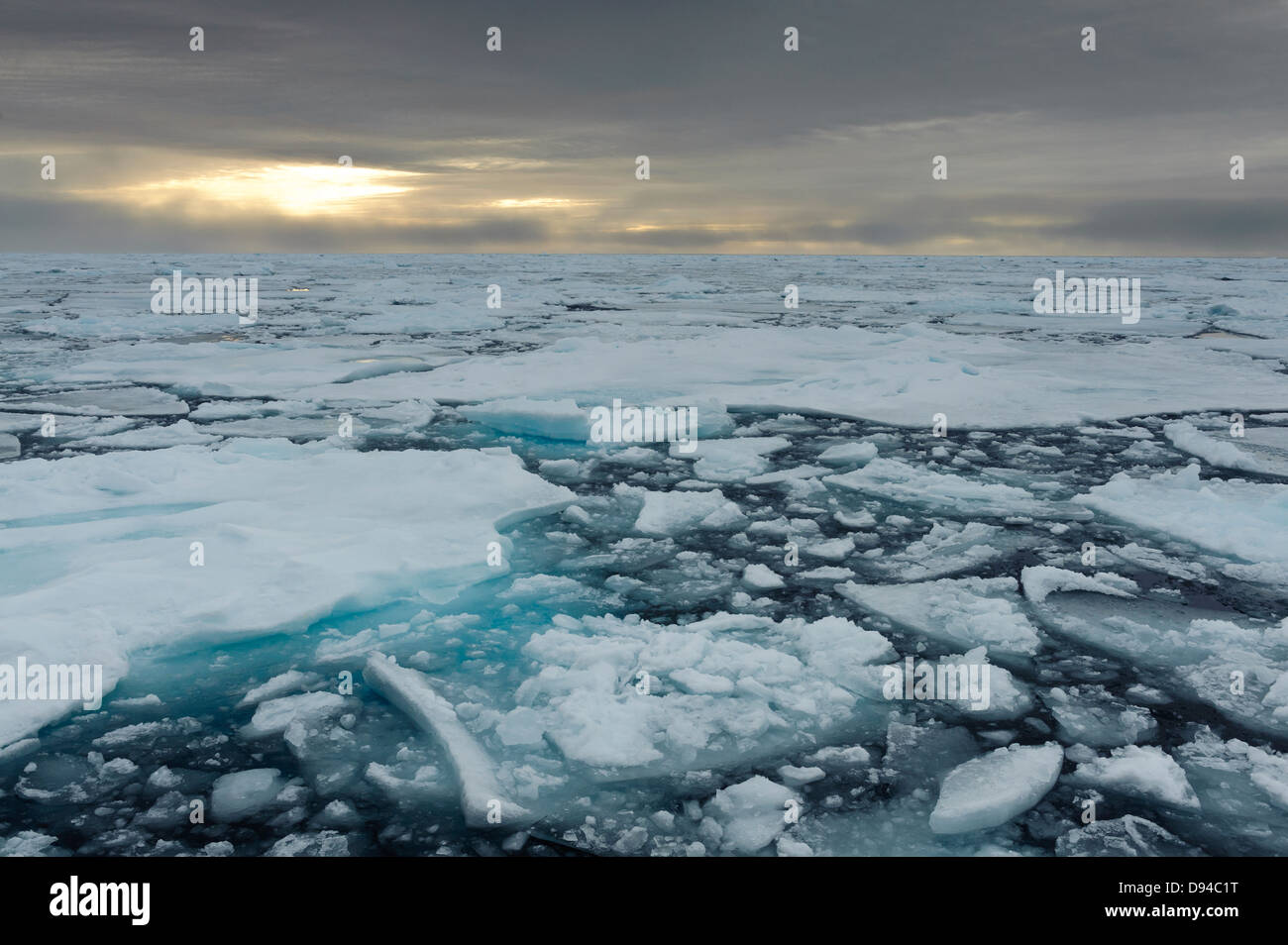 Ice floe on Arctic Ocean Stock Photo - Alamy
