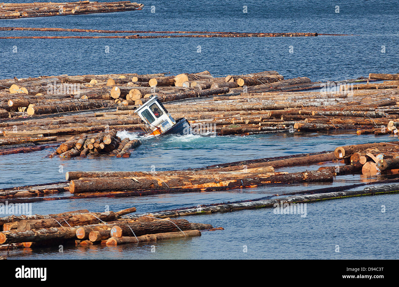 Sorting logs hi-res stock photography and images - Alamy