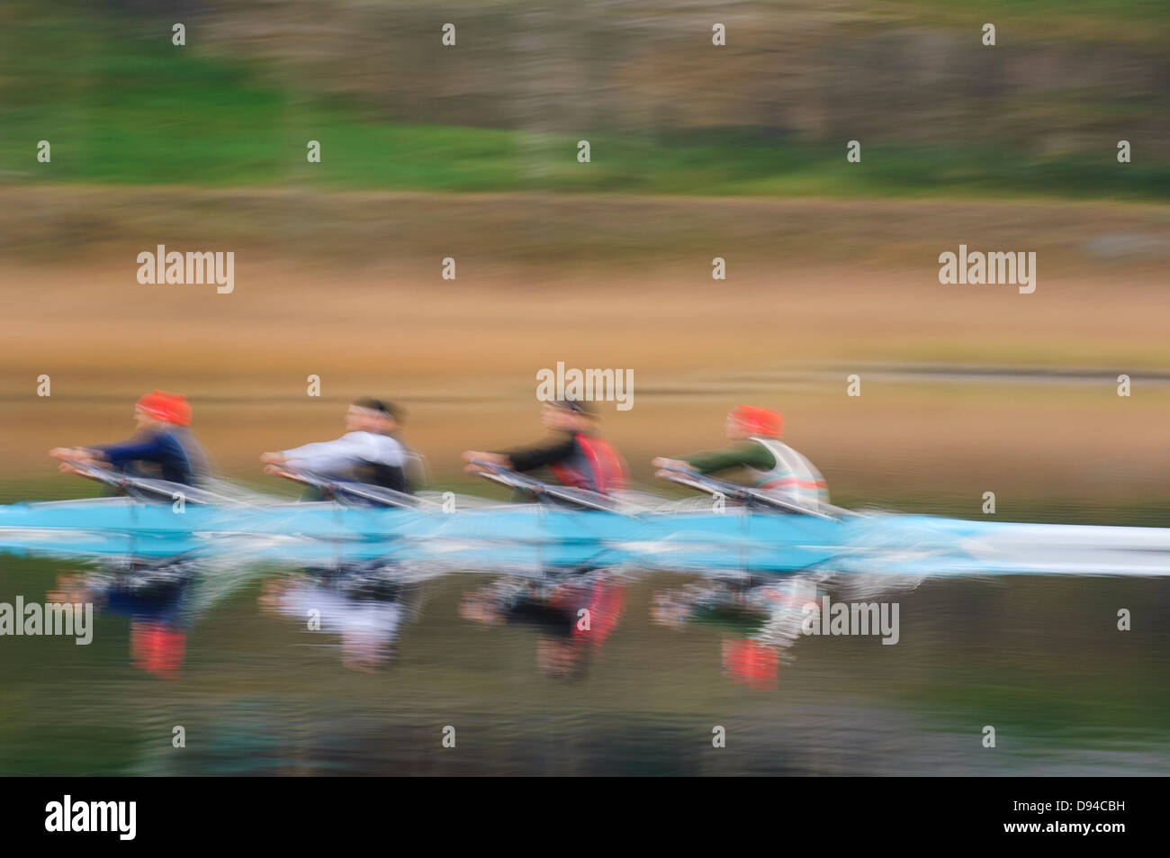 Team rowing boat Stock Photo - Alamy