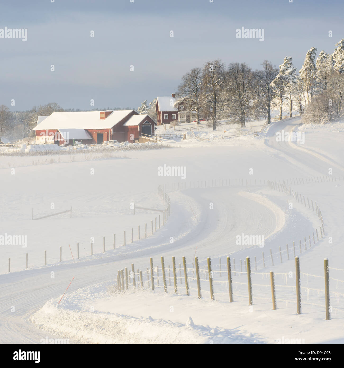 Snowy farm road hi-res stock photography and images - Alamy