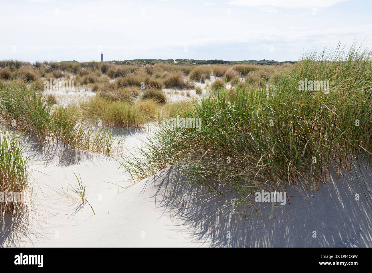 View of sand dunes with grass Stock Photo - Alamy
