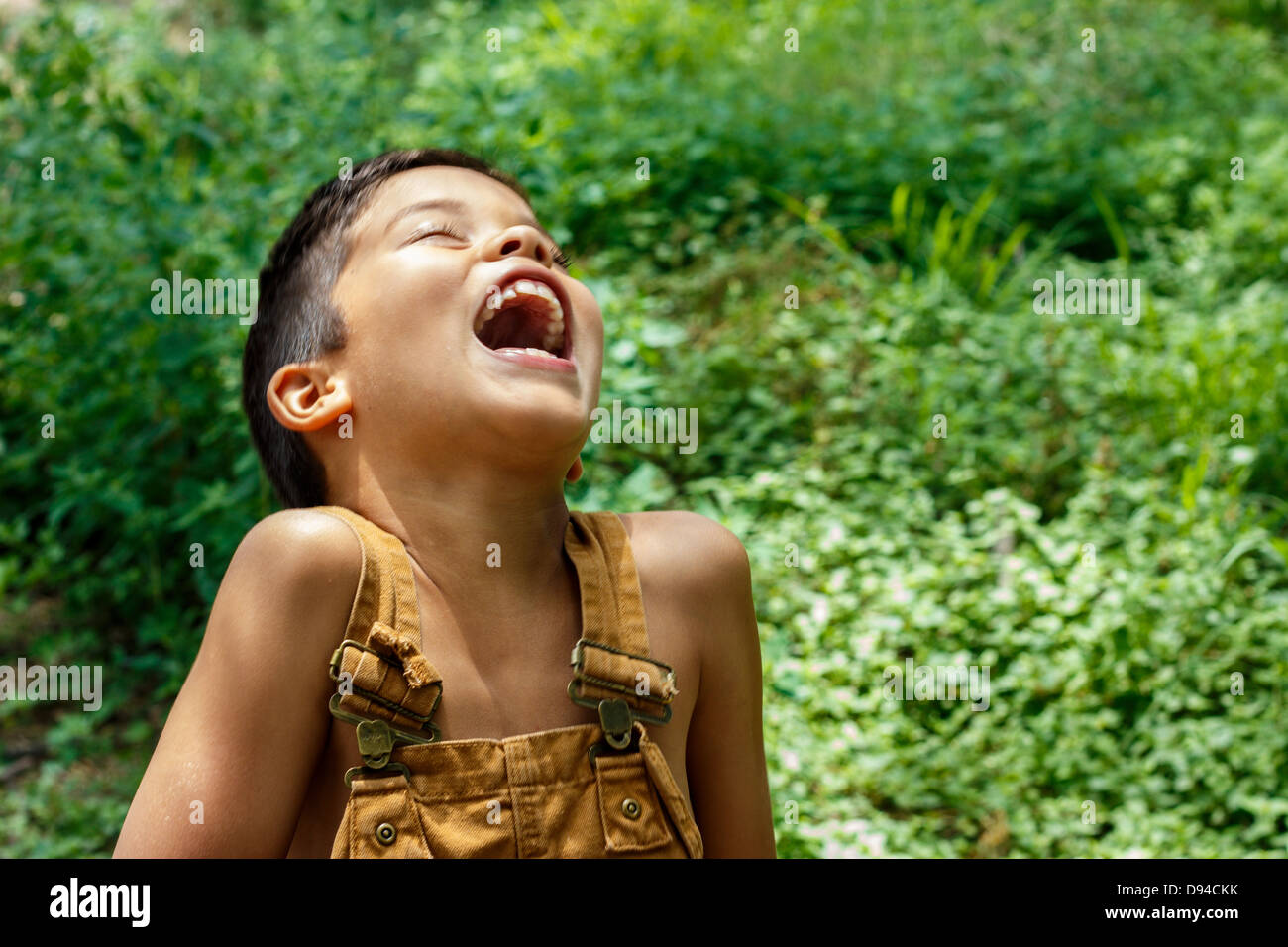little boy laughing Stock Photo - Alamy