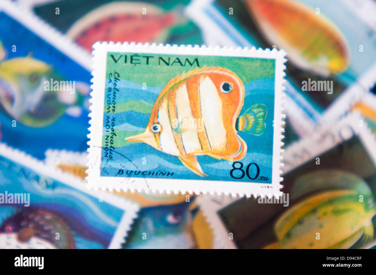 mixed marine postage stamps in studio setting Stock Photo - Alamy