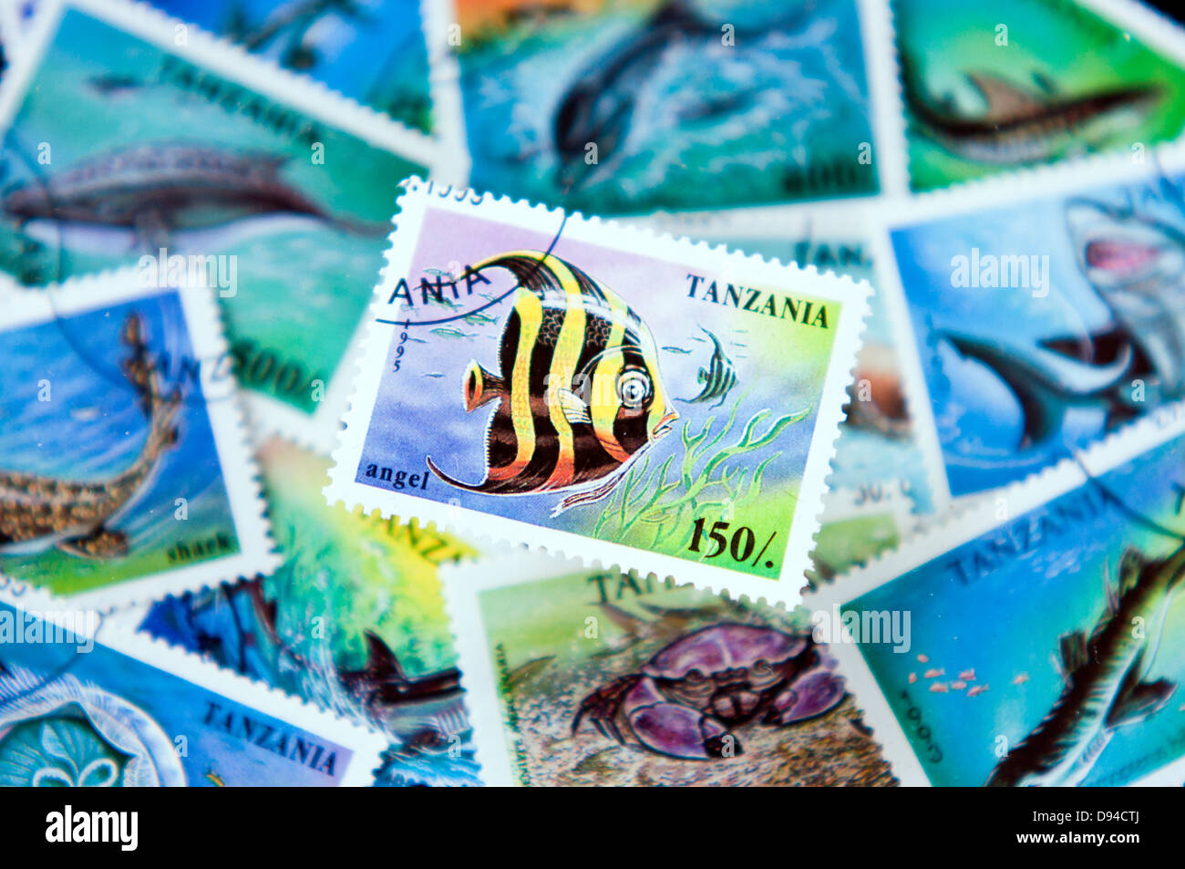 mixed marine postage stamps in studio setting Stock Photo - Alamy