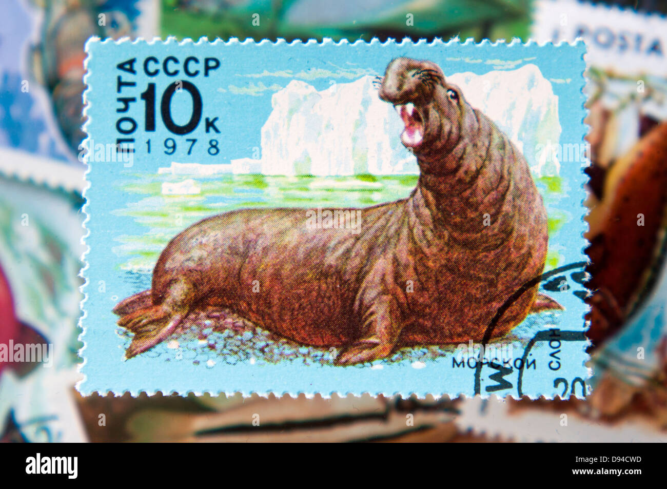 mixed marine postage stamps in studio setting Stock Photo - Alamy
