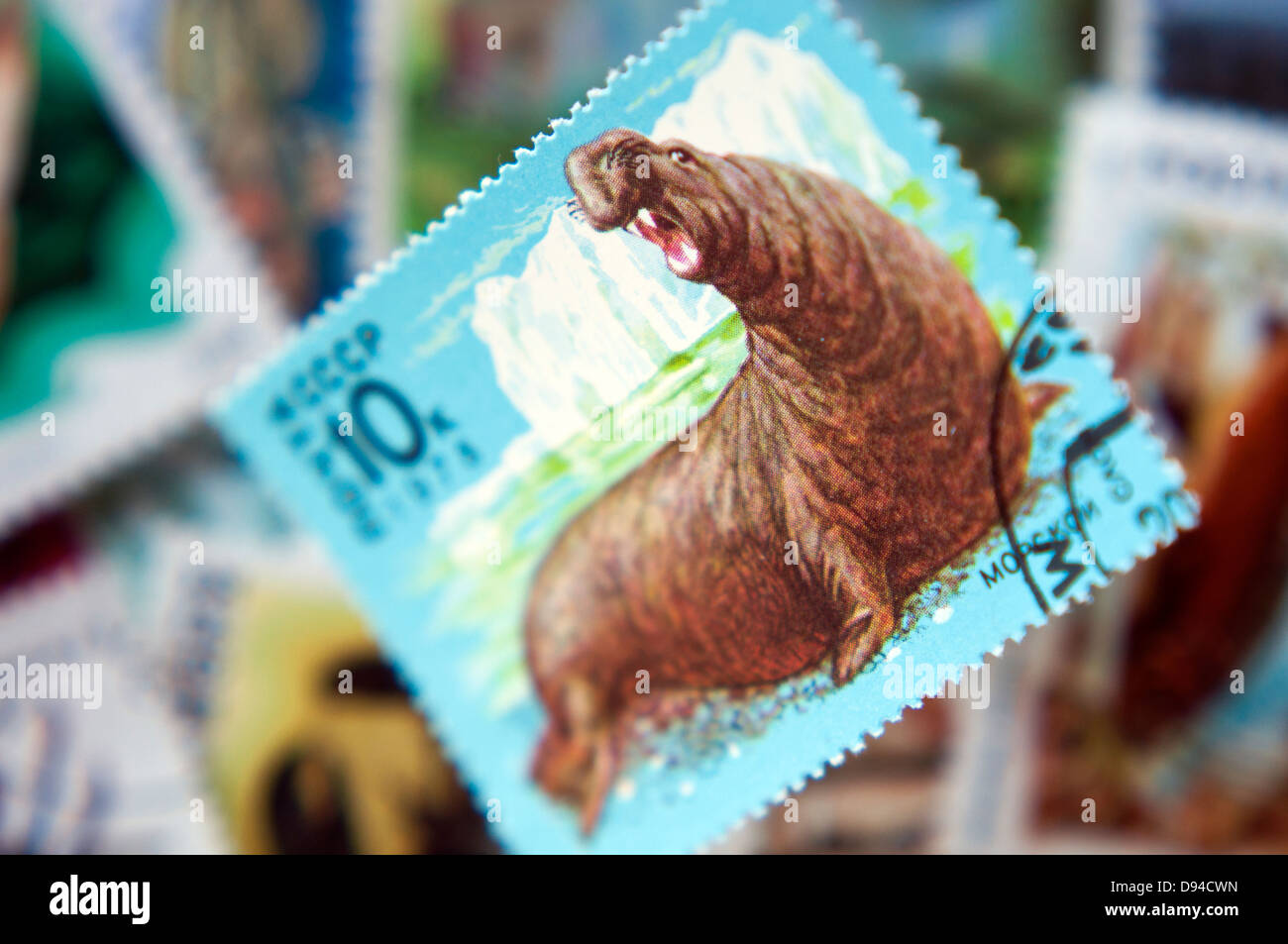 mixed marine postage stamps in studio setting Stock Photo - Alamy