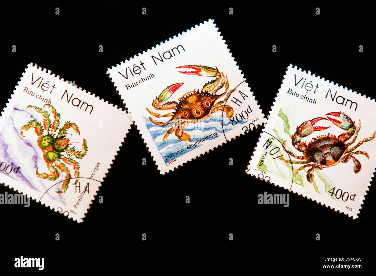 mixed marine postage stamps in studio setting Stock Photo - Alamy
