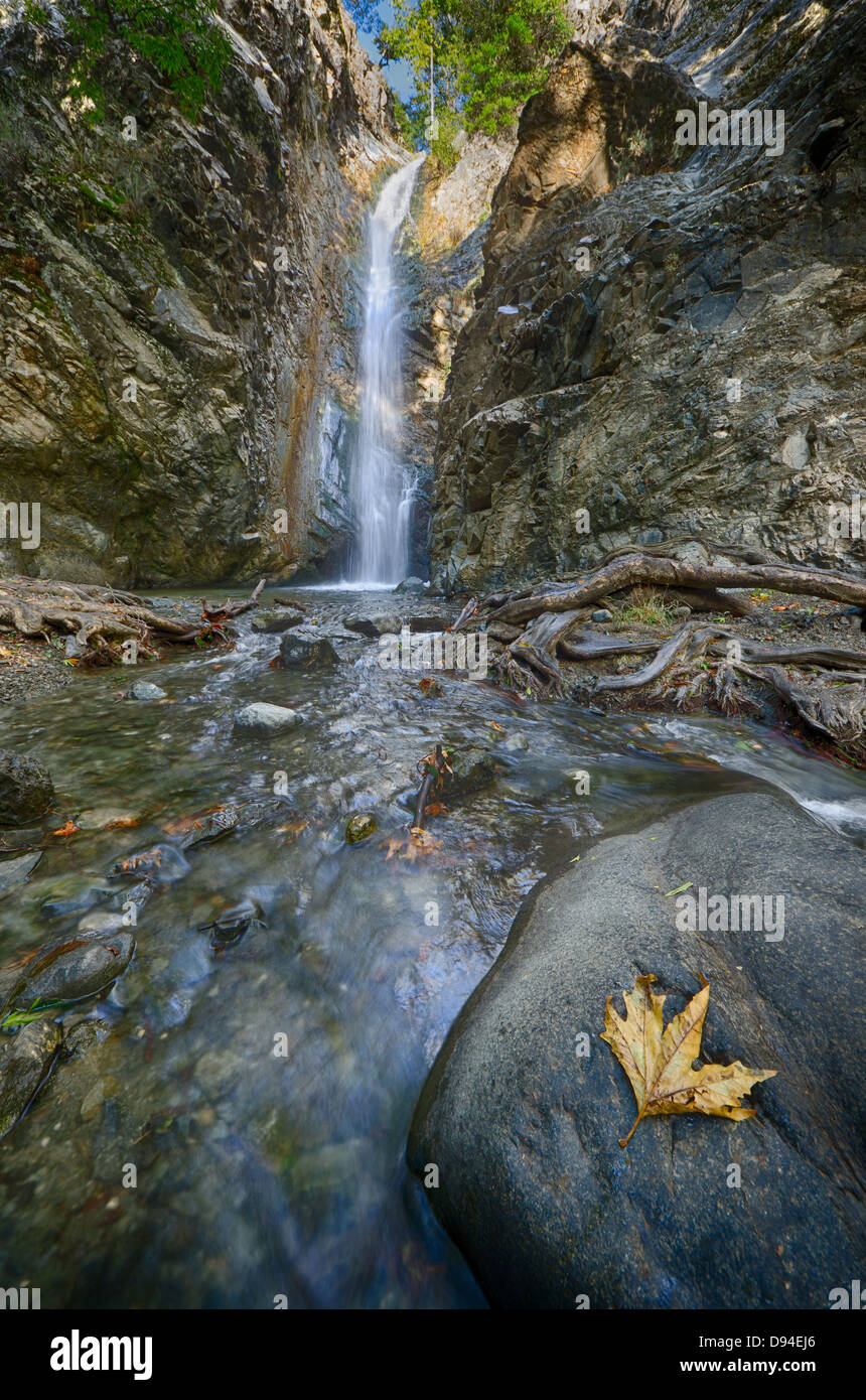 Milomeris hi-res stock photography and images - Alamy