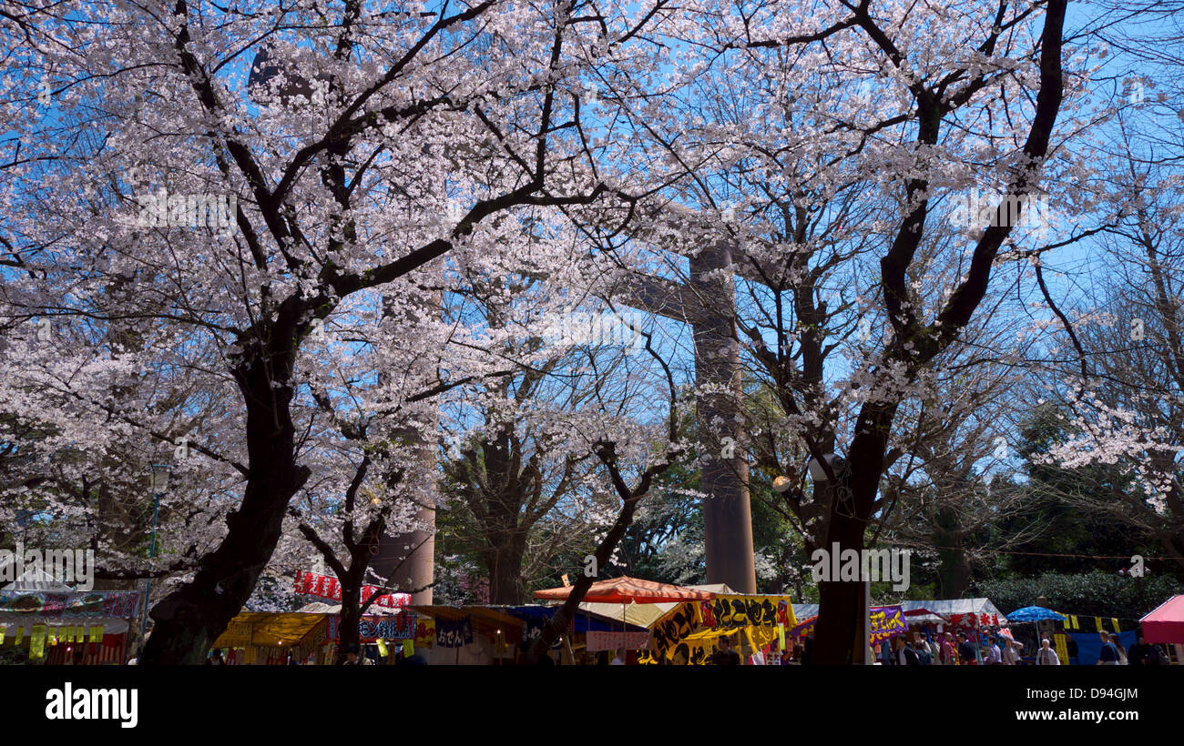 Many food stalls at Yasukuni Shrine during the Hanami viewing season ...