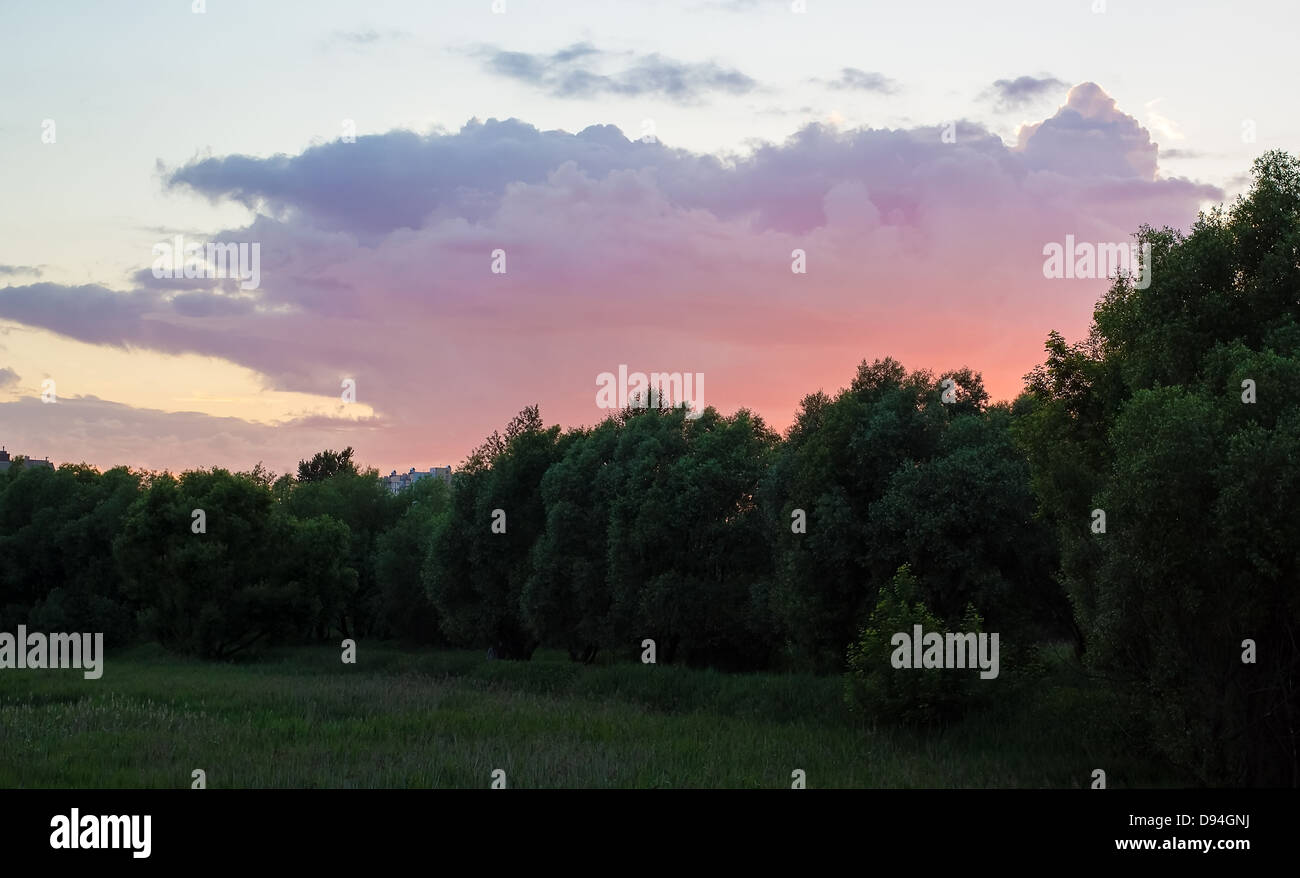 Pink sunset over the forest. Dark rain clouds Stock Photo - Alamy