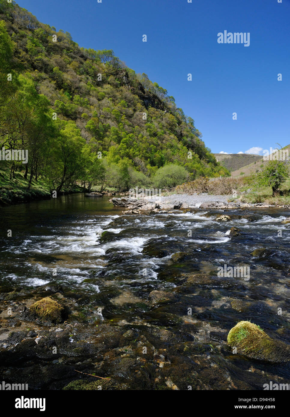 River Tywi, RSPB Dinas, Llandovery, Central Wales Stock Photo - Alamy